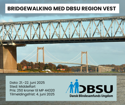 Region Vest: Bridgewalking - Dansk Blindesamfunds Ungdom